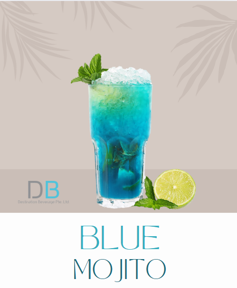 Blueberry Mojito – Destination Beverage