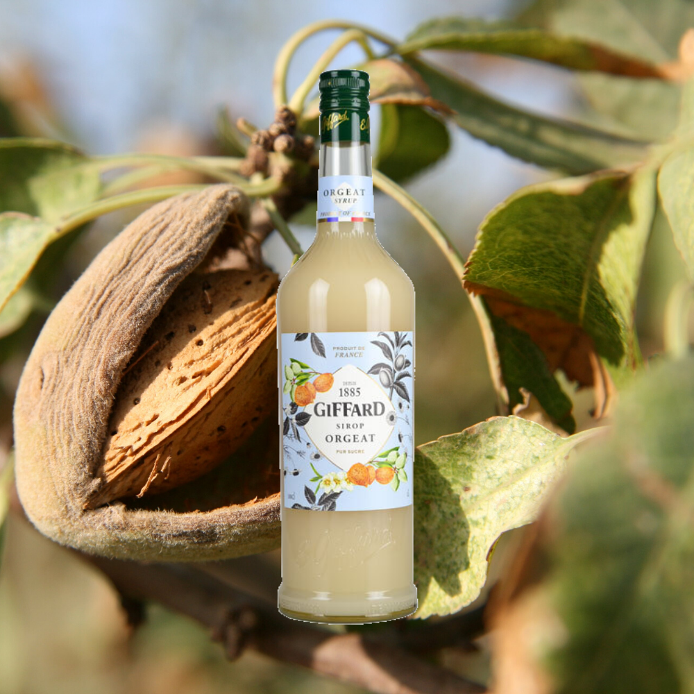 Giffard Syrup Orgeat – Destination Beverage